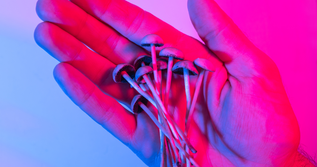 A comprehensive guide to all types of psychedelics